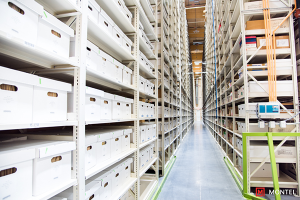 Vital Valt - Blog Post - Residential - Archive Shelving