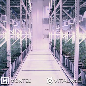Mobile Grow Rack Systems - Vital Valt