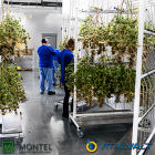 Grow Carts - Vital Valt