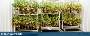 Indoor Grow Carts - Vital Valt
