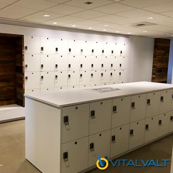 Locker Systems - Modular Casework - Blog Post - Vital Valt