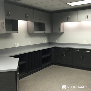 Vital Valt - Blog Post - Mailroom Design - Mailroom Services