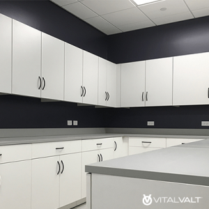 Modular Casework - Cabinet Systems - Vital Valt Blog Post