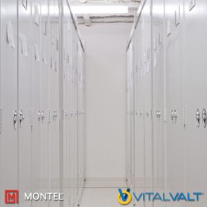 Cabinet Style Shelving - Vital Valt