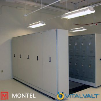 Cabinet Style Shelving - Vital Valt