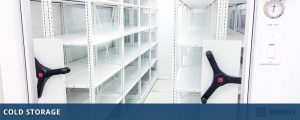 Cold Storage - Vital Valt Blog Post - Vital Valt